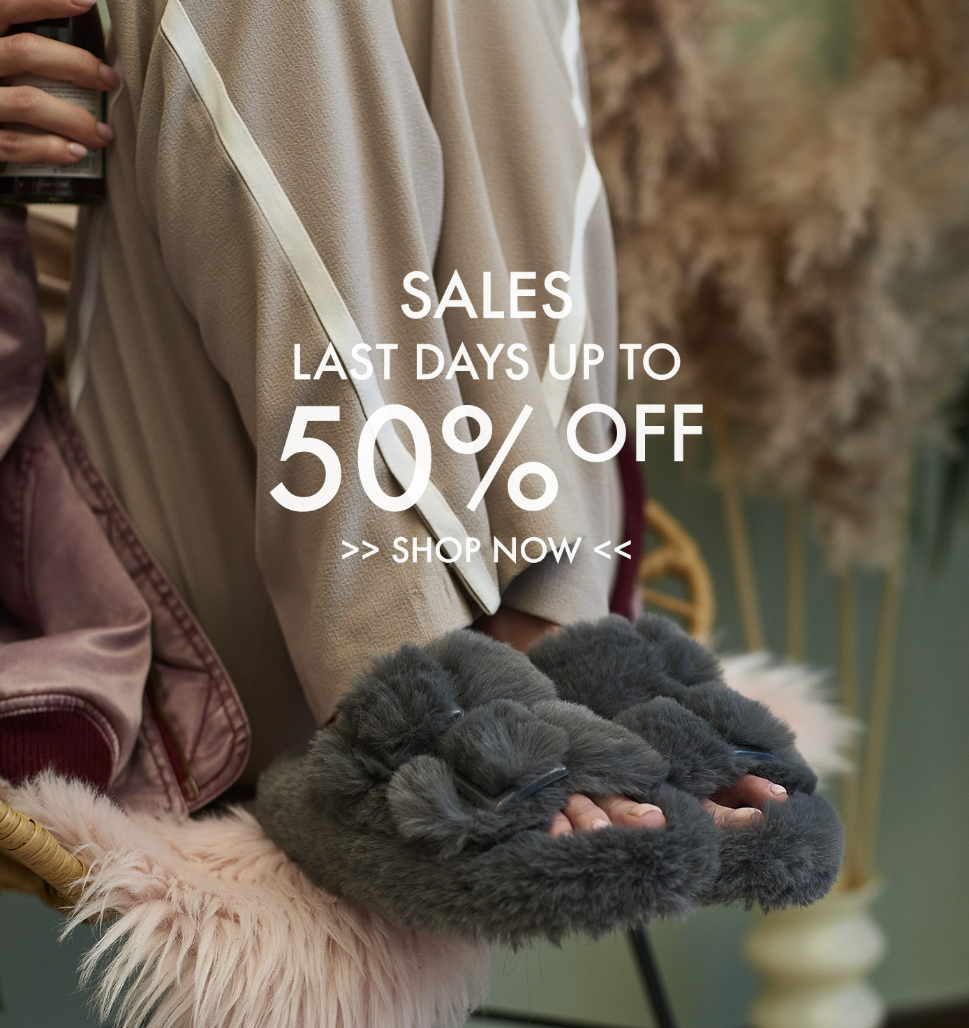 Colors of California - Official Site