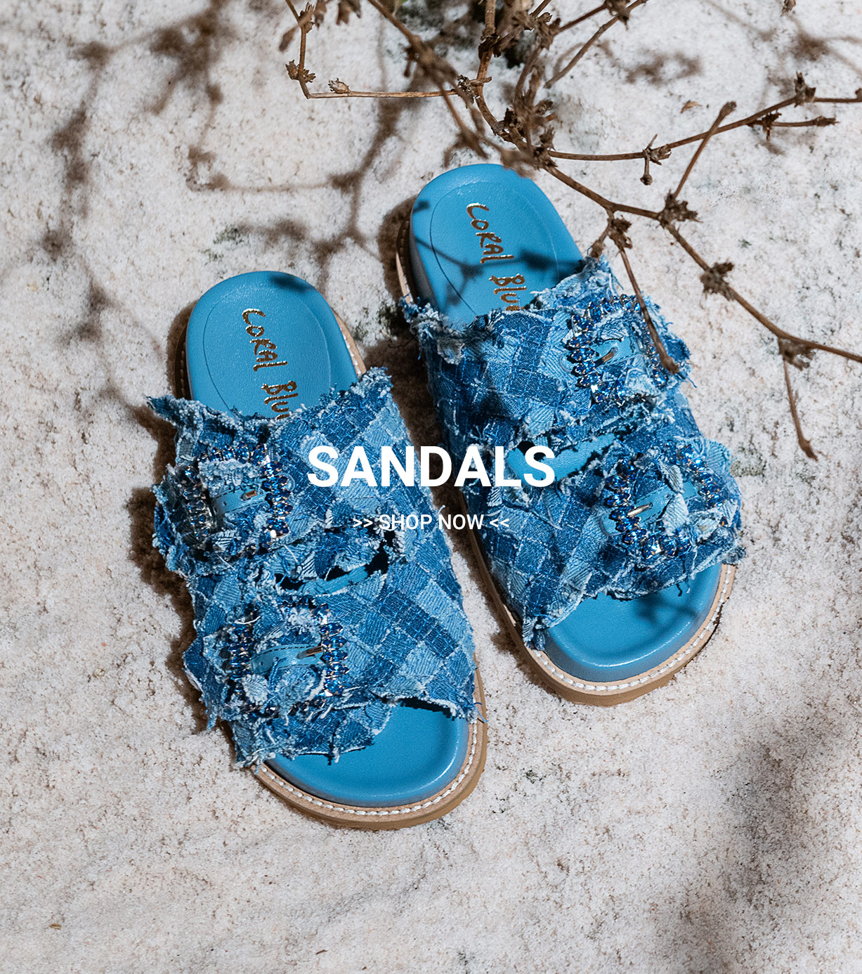 Coral Blue - Official Site